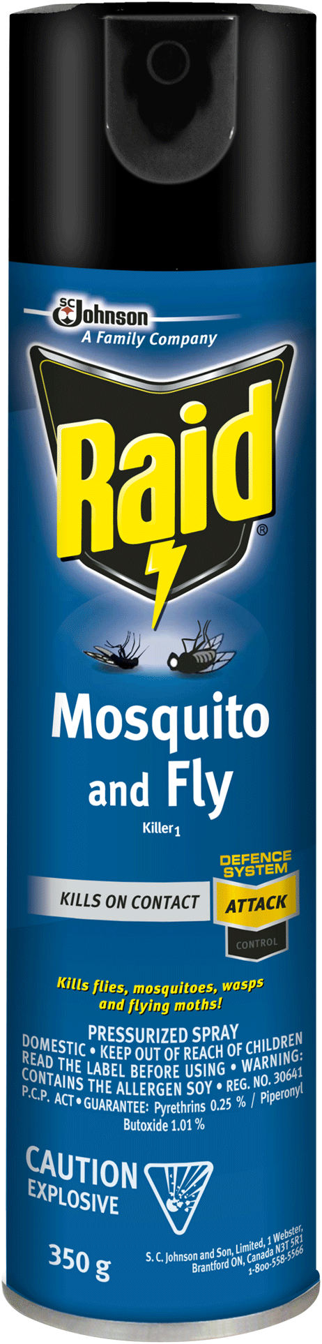 Raid Spray 350g Mosquito and Fly Killer – CC Group Trading