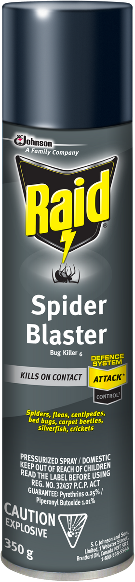 Raid Spray 350g Spider Killer – CC Group Trading